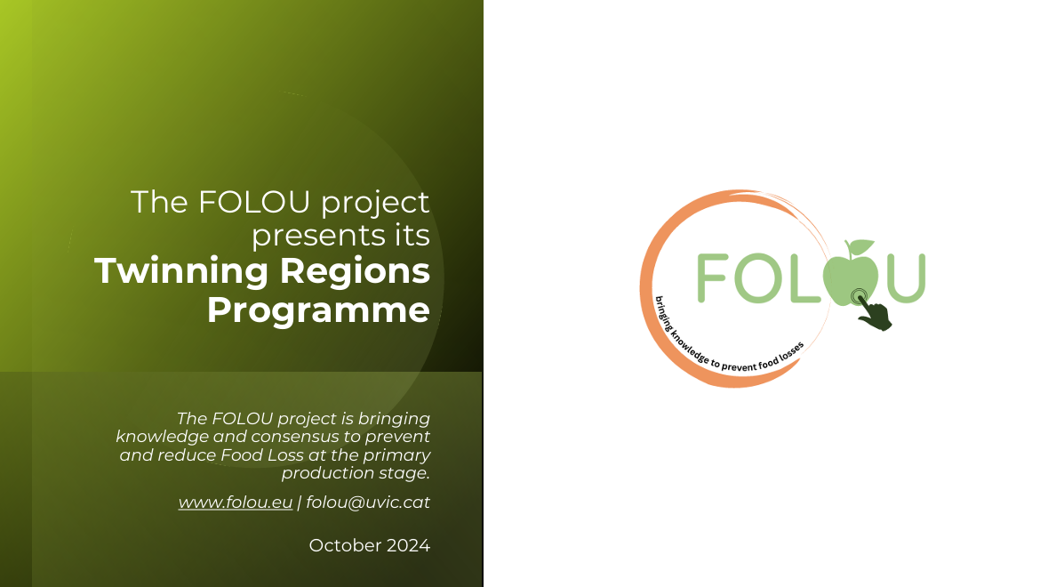 The FOLOU Twinning Regions Program kicks off with 7 organizations ready ...
